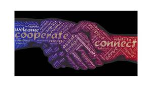 Patient and Family Advisory Council PFAC in a Box – Michigan Multipayer ...